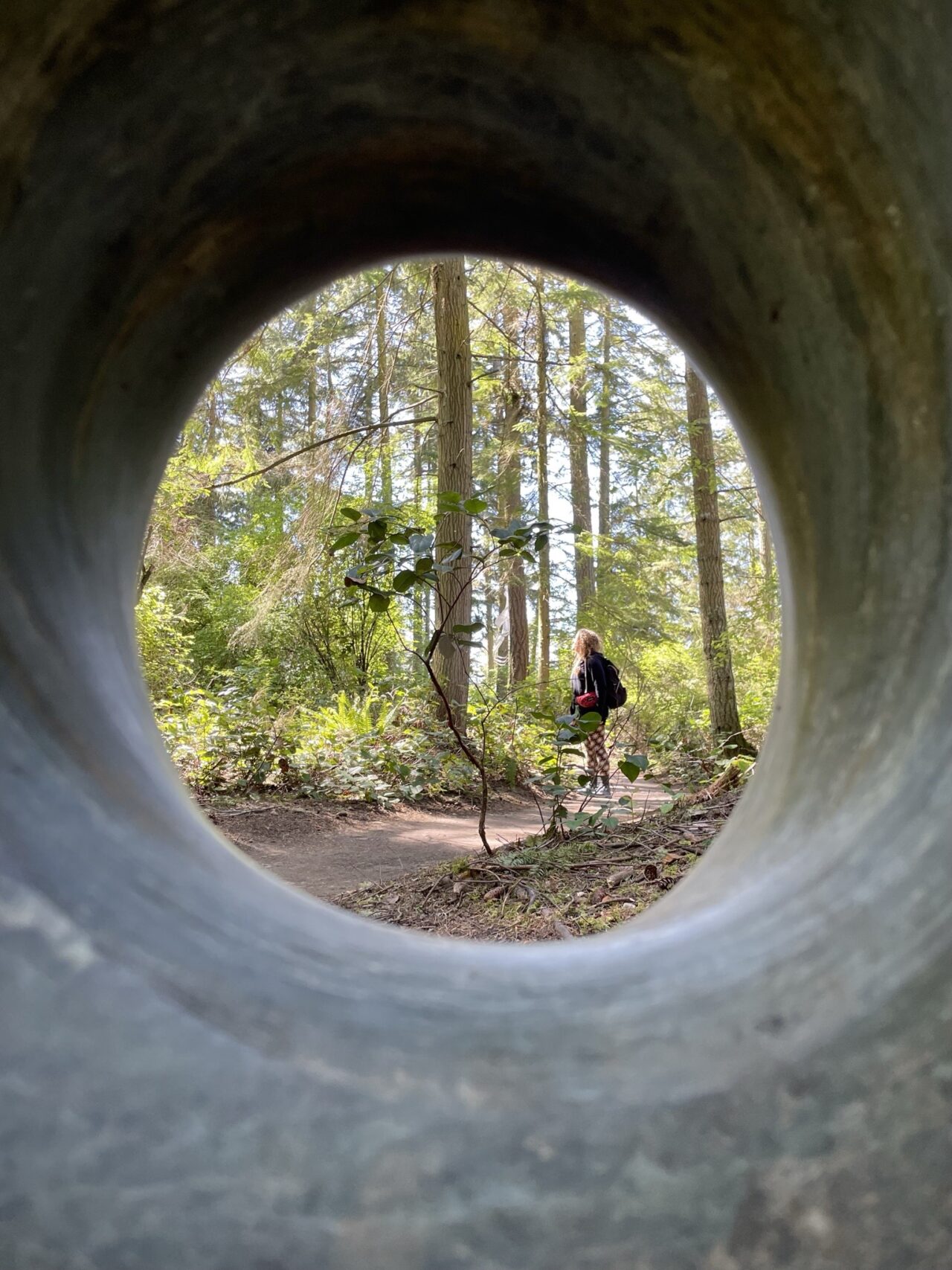 Price Sculpture Forest sculpture park in Coupeville on Whidbey Island ...
